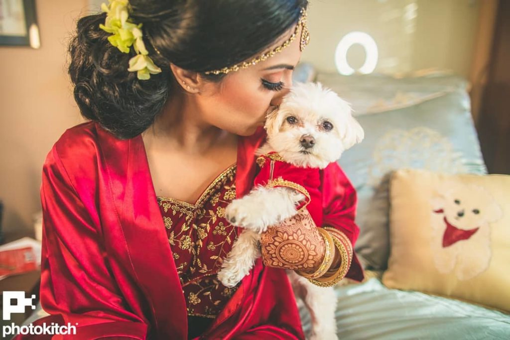 7 Adorable Pictures of Pets At Weddings! - Weddingplz Blog