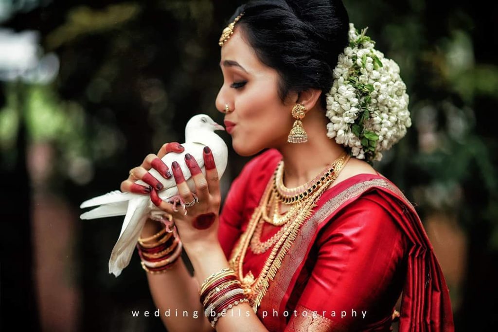 7 Adorable Pictures of Pets At Weddings! - Weddingplz Blog